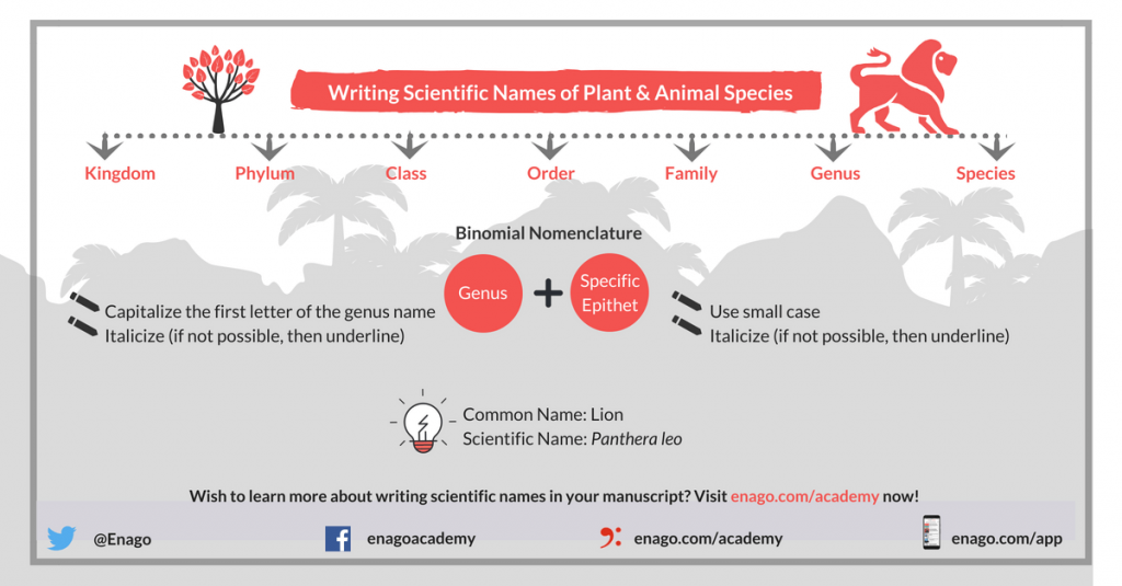 c-mo-escribir-nombres-cient-ficos-de-especies-de-plantas-y-animales-en