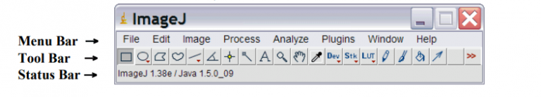 Analyze and Process Your Images in Seconds With ImageJ! - Enago Academy