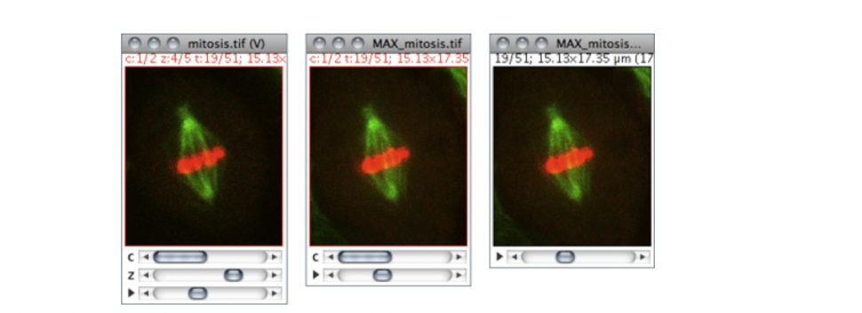 Analyze and Process Your Images in Seconds With ImageJ! - Enago Academy