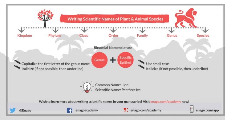 How to Write Scientific Names of Plant and Animal Species in Journal ...