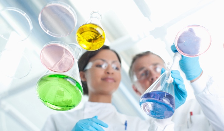 Revolutionary Technique Uses Stem Cells to Grow Human Blood Vessels in ...