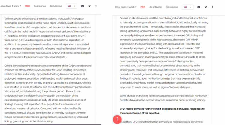 Best AI Summarization Tools in 2024 (Compared)