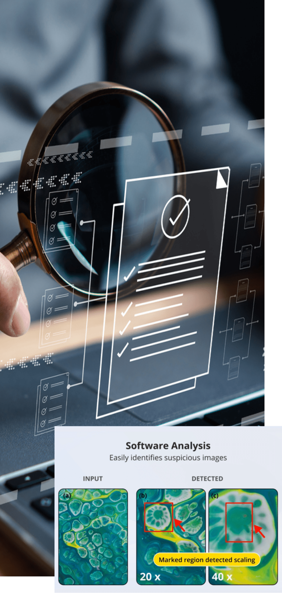 Editorial Services for Authors | Editor Companies - Enago and Charlesworth